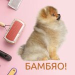 Бамбяо! (Alekseya Alyokhina Street No:30), evcil hayvan kuaförleri  Pskov'dan
