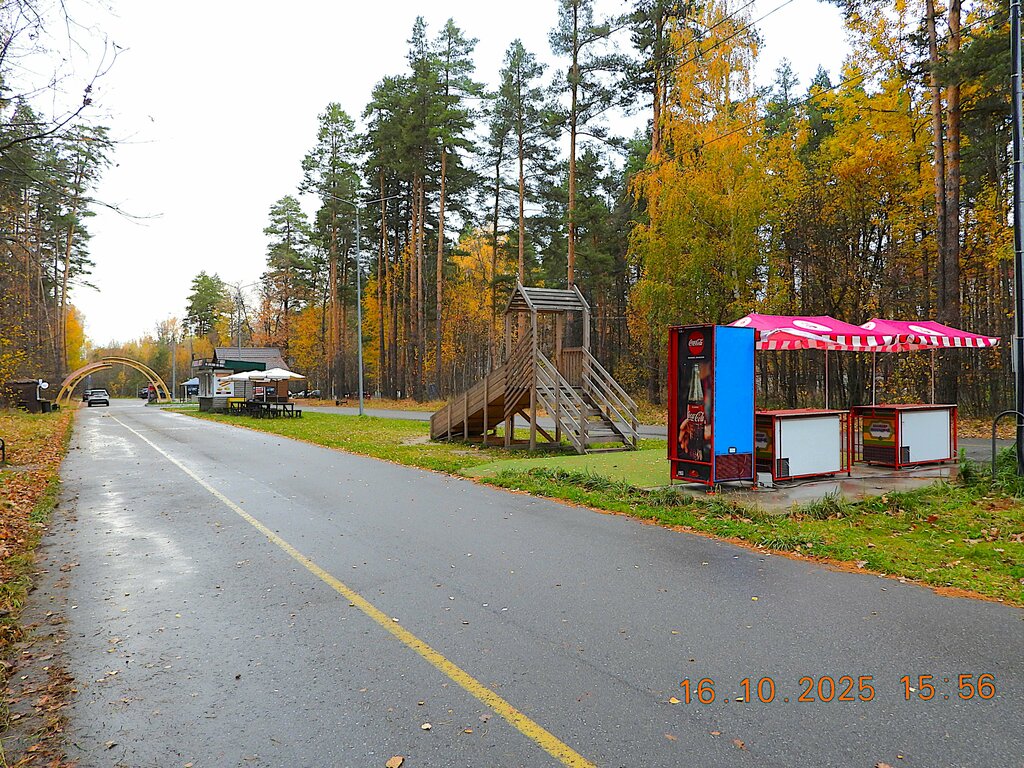 Oyun alanı Playground, Penzenskaya oblastı, foto