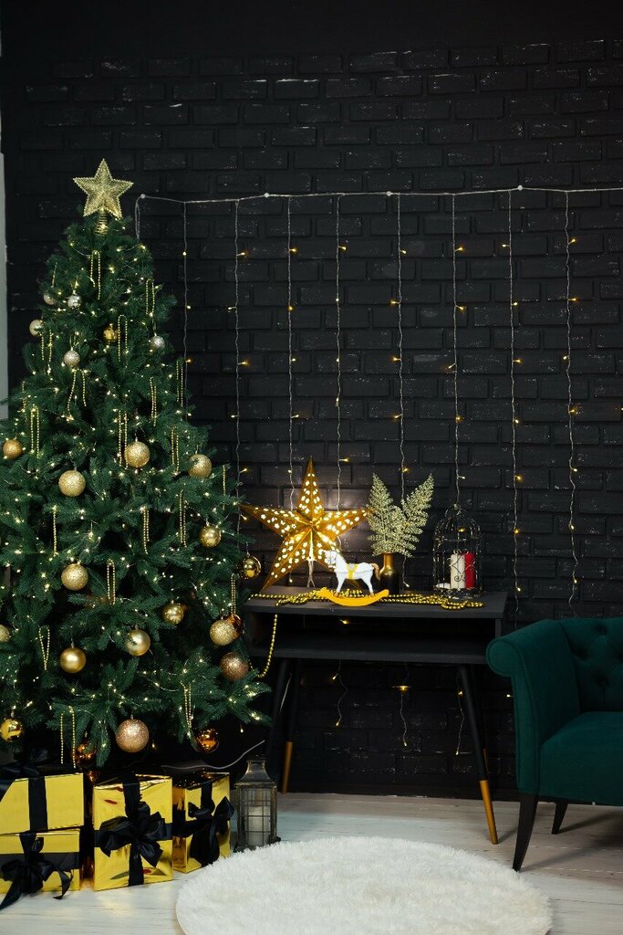 Profesyonel fotoğraf stüdyosu Panda, Novorossiysk, foto