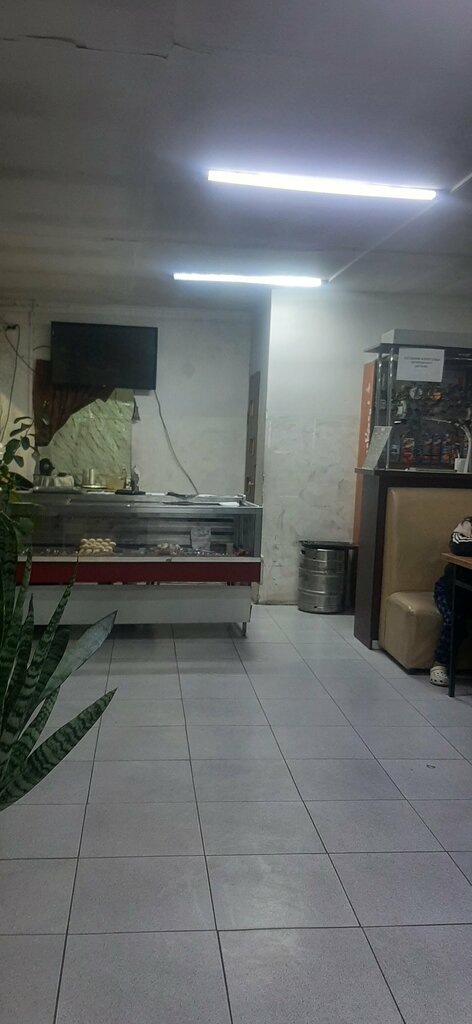 Kafe Shashlychnaya na postysheva, Almatı, foto