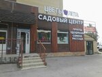 Цветы Лета (ulitsa Akademika Vedeneyeva No:52), çiçekçiler  Perm'den