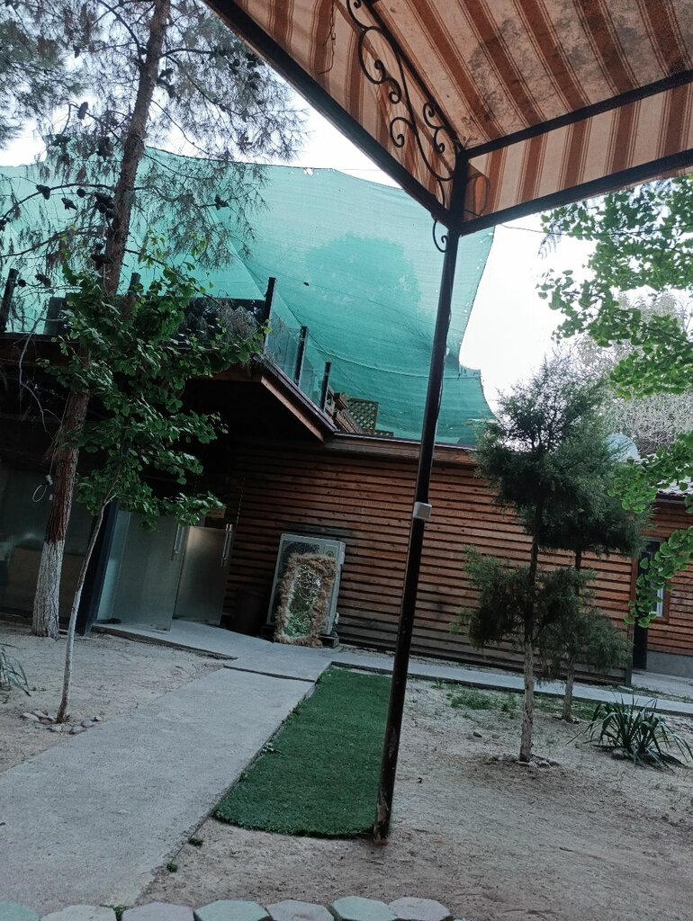Restoran Sazan, Taşkent eyaleti, foto