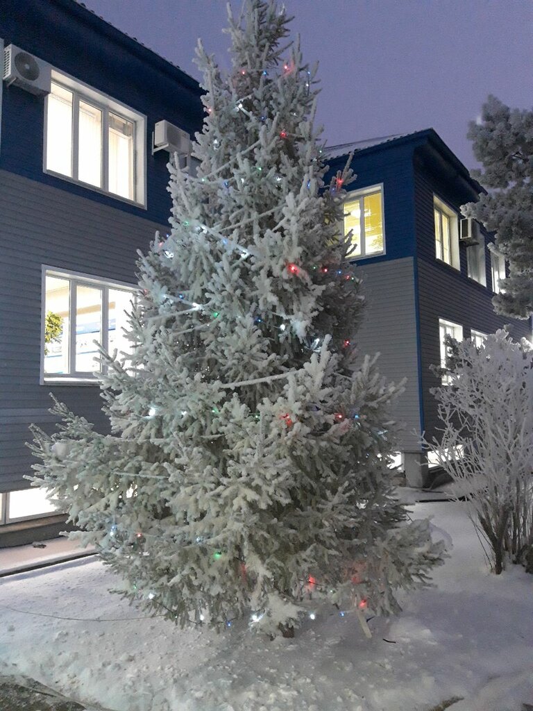 Enerji kurumları Khakasskoye predpriyatiye magistralnykh elektricheskikh setey, Sayanogorsk, foto