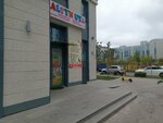 Altyn Uya (Qabanbaı Batyr dańǵyly No:56А), anaokulları  Astana'dan