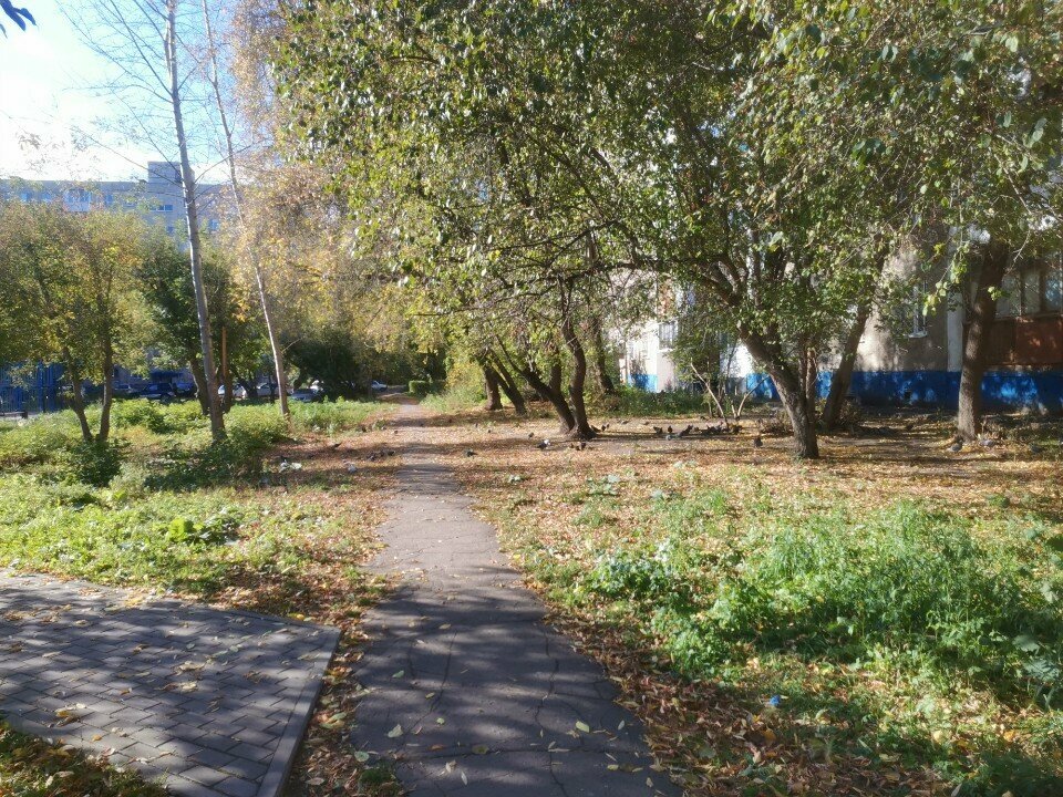 i̇nşaat ve tasarım hizmetleri А-Мега, Omsk, foto