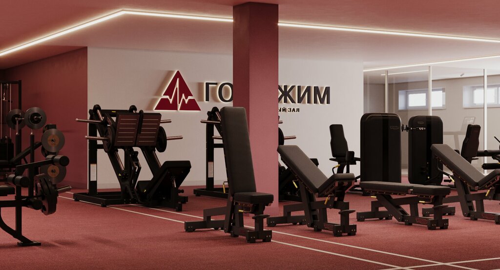 Spor ve jimnastik salonları Гора Жим, Samara, foto