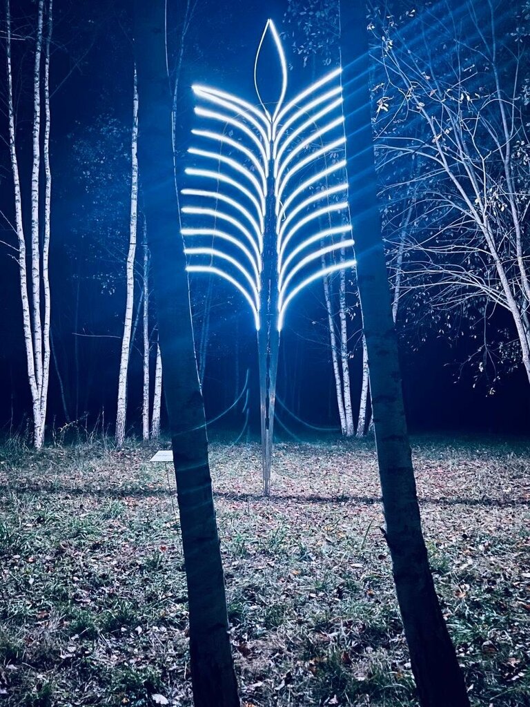 Yaratıcı küme Арт-Парк Тропы, Pskovskaya oblastı, foto