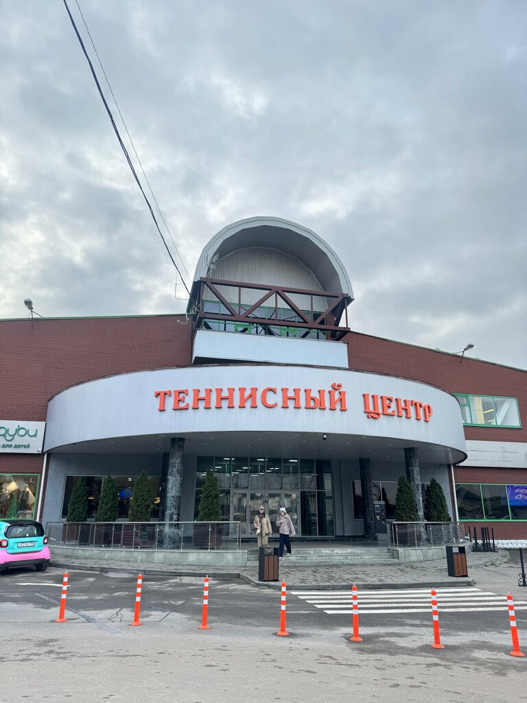 Sanat okulları Ptitsa Sinitsa, Moskova ve Moskovskaya oblastı, foto