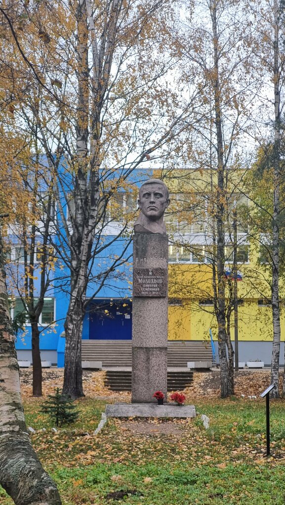 Turistik yerler Аллея космонавтов, Sertolovo, foto