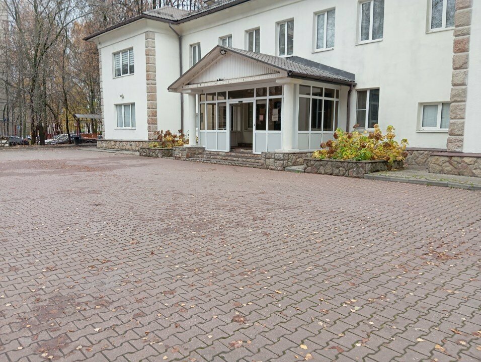 i̇nşaat makinaları ve ekipmanları Palfinger Sani Kreynz, Moskova, foto