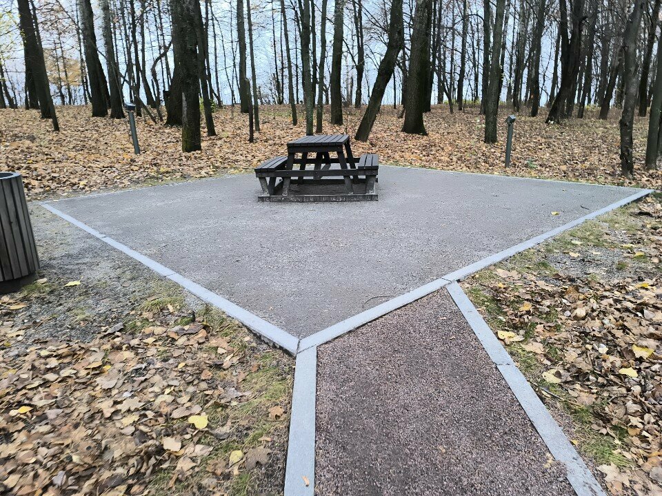 Piknik alanı Place for picnic, Nijni Novgorod, foto