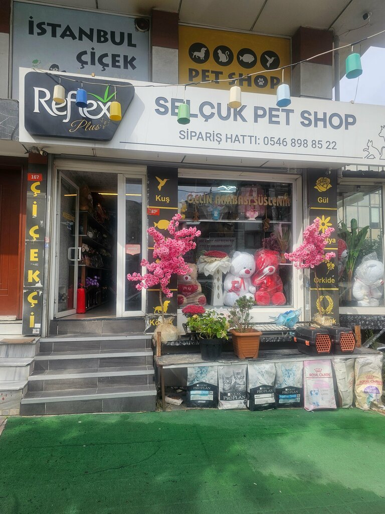 Petshop Selçuk Petshop ve çiçekçilik, İstanbul, foto