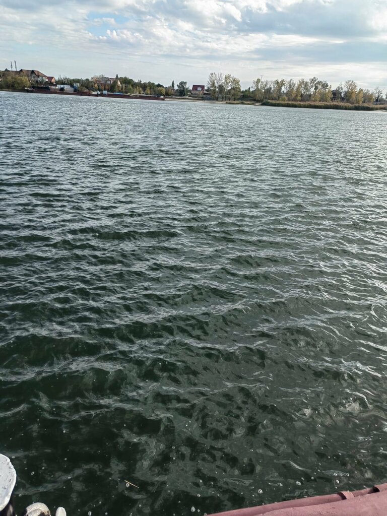 Avcılar ve balıkçılar База Рыбачок, Rostovskaya oblastı, foto