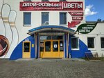 Massage (vulica Chkalava No:24А), masaj salonları  Vitebsk'ten