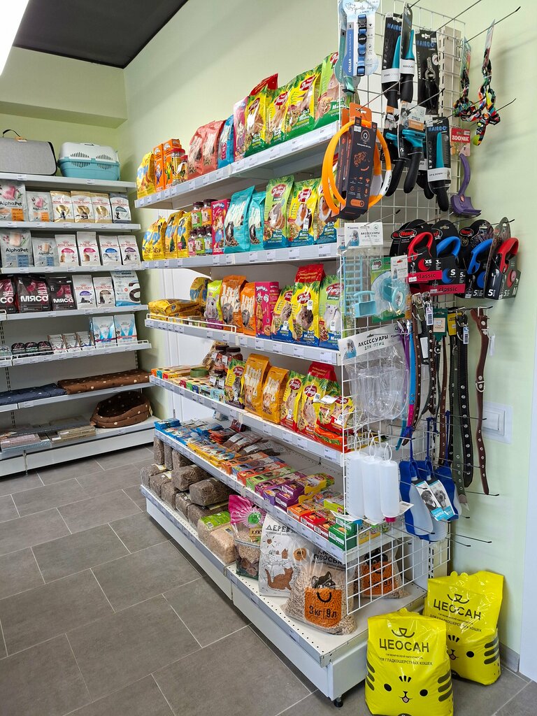 Petshop Zoodomik, Kaliningrad, foto