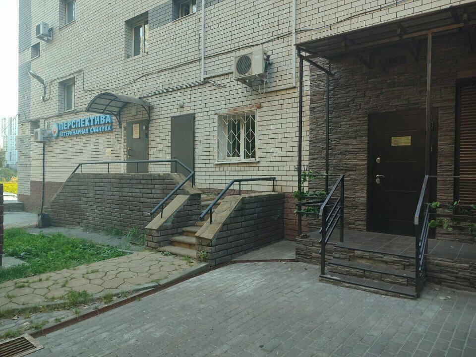 Sivil toplum kuruluşları Pravo na zhizn, Nijni Novgorod, foto