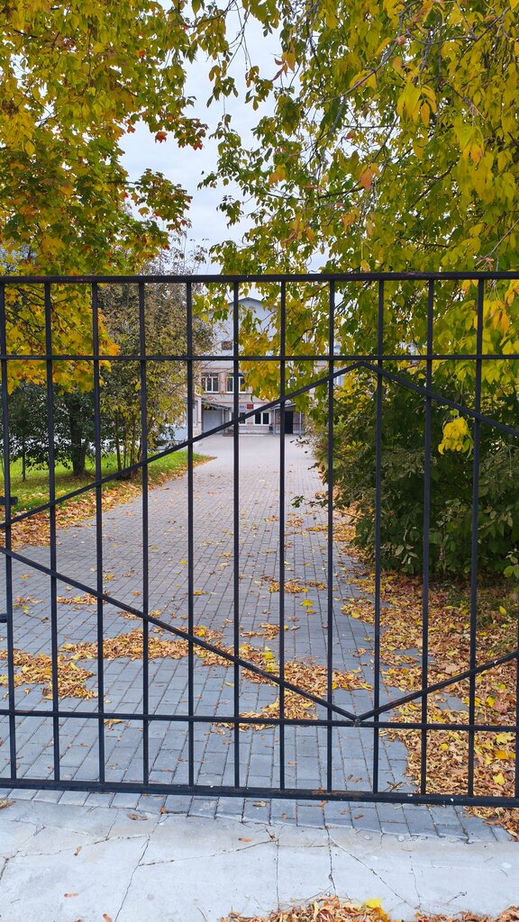 Ortaokul Анопинская средняя общеобразовательная школа, Vladimirskaya oblastı, foto