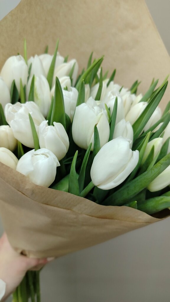 Çiçekçiler Flowers, Moskova ve Moskovskaya oblastı, foto