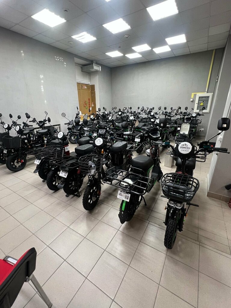 Kişisel elektrikli araç tamiri Байк Go, Çeliabinsk, foto