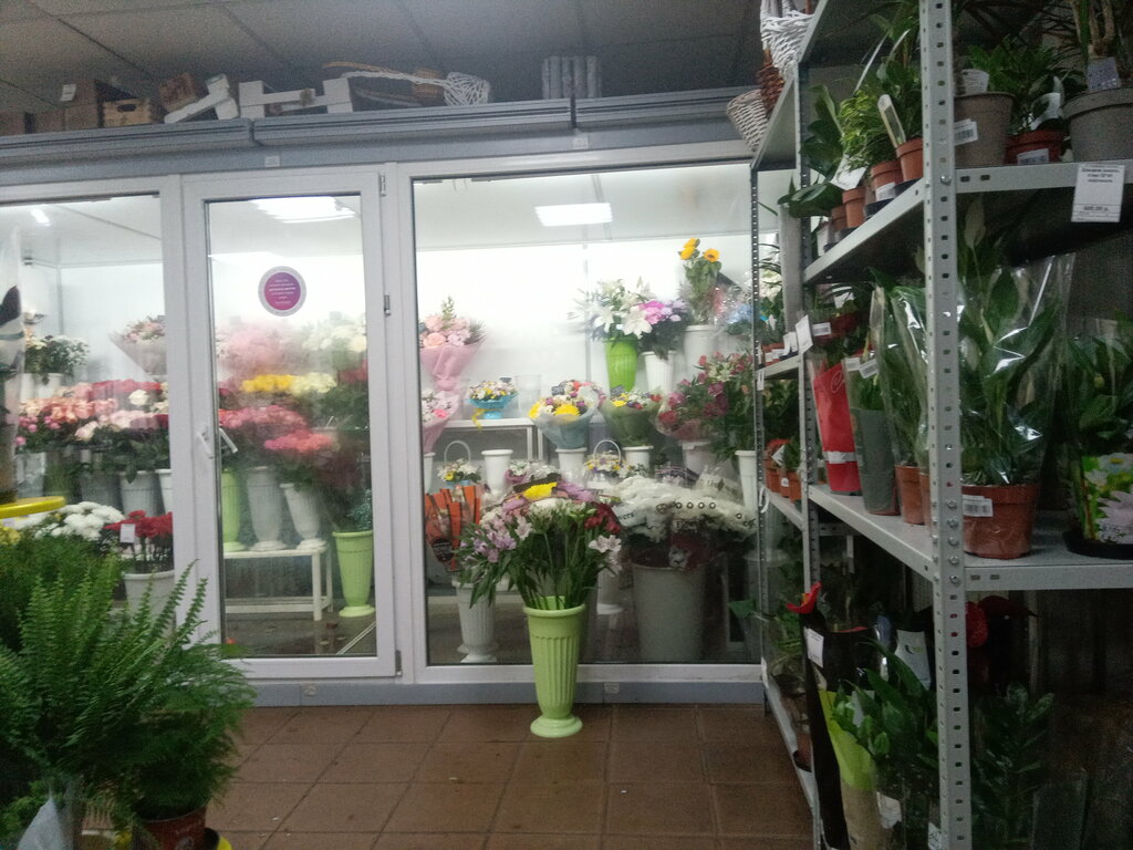 Çiçekçiler Мир Цветов, Voljski, foto