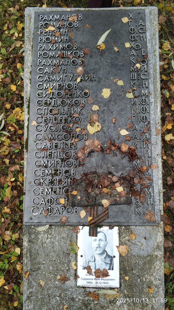 Anıt, heykel Неизвестный солдат, Vitebskaya oblastı, foto