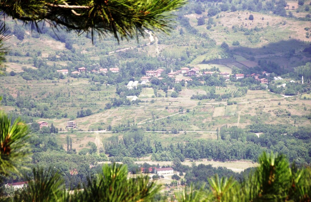 Muhtarlıklar Dedeoğlu Köy Muhtarlığı, Devrek, foto