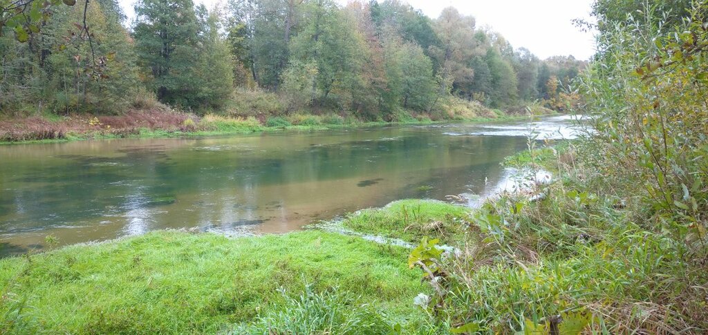 Doğa Лушмарский брод, Mariy El Cumhuriyeti, foto