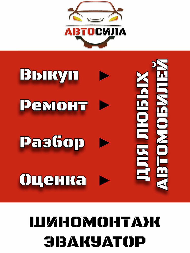 Çıkma yedek parça Autosila, Rybnoye, foto