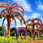 Atlanta Travel & Tourism (1B, 11A Street, Port Saeed, Deira, Dubai), seyahat acenteleri  Dubai'den