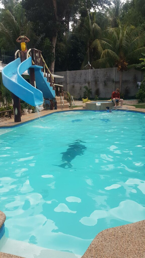 Otel Pedz Cing Mango Lodge, , foto