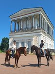 Кони-СПб-Петергоф (Leningrad Region, Lomonosovskiy District, Nizinskoye selskoye poseleniye, territoriya Konnoye, 23), at ve binicilik kulüpleri  Saint‑Petersburg ve Leningradskaya oblastından