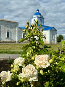Церковь (Volgograd Region, Nekhayevskiy rayon, selo Solonka, ulitsa Pobedy), ortodoks kiliseleri  Volgogradskaya oblastından