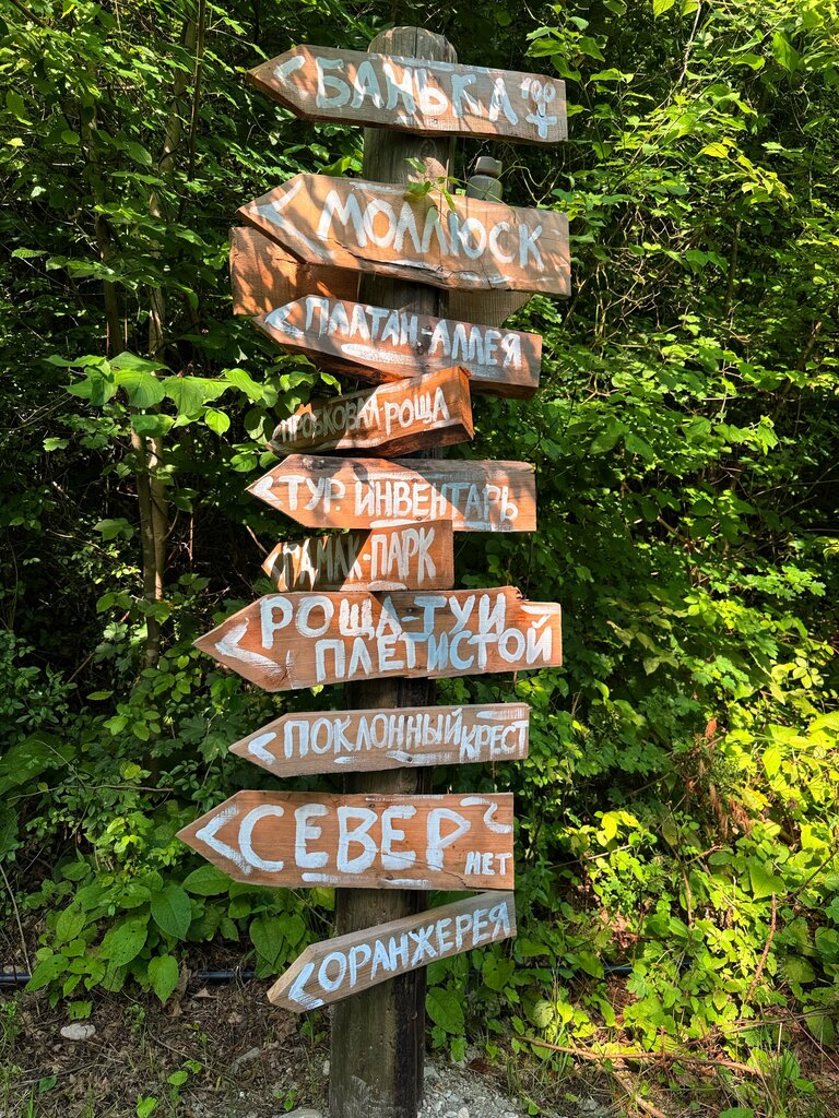 Doğa Моллюск девонского периода, Soçi, foto