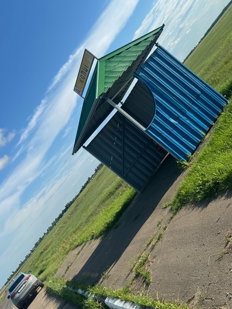 Toplu taşıma durağı Kopci, Vitebskaya oblastı, foto