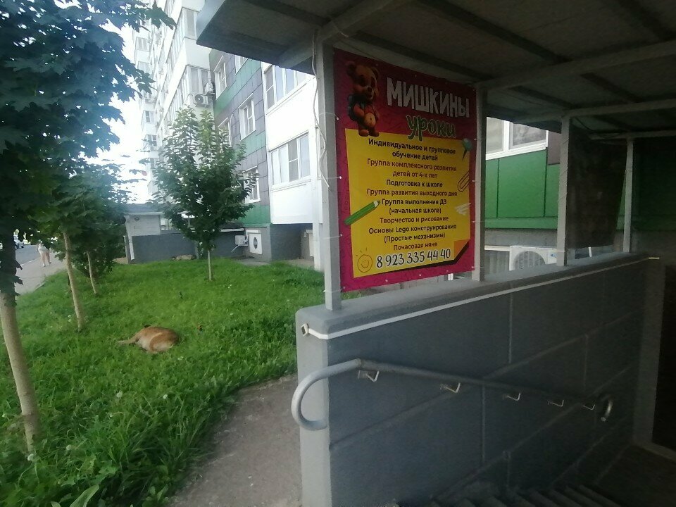 Çocuk gelişim merkezleri Мишкины уроки, Krasnodar, foto