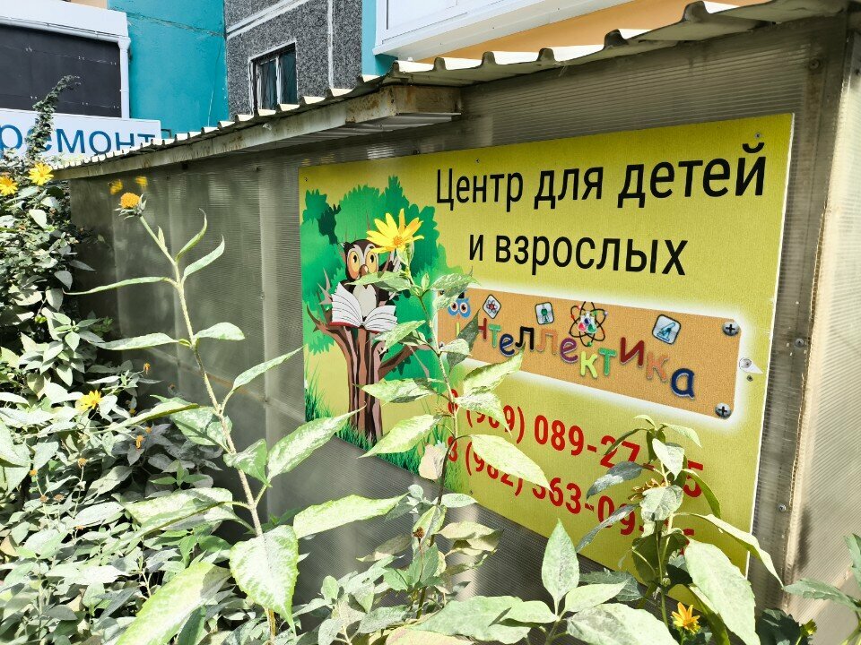 Çocuk gelişim merkezleri Интеллектика, Çeliabinsk, foto