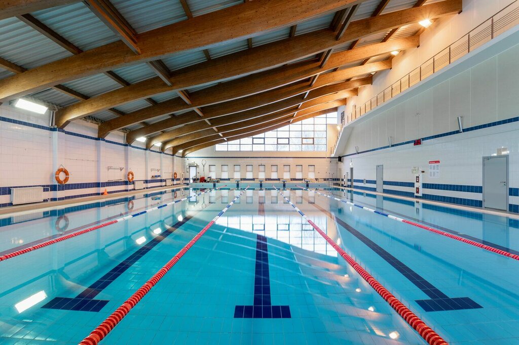 Yüzme havuzları Swim School, Moskova, foto