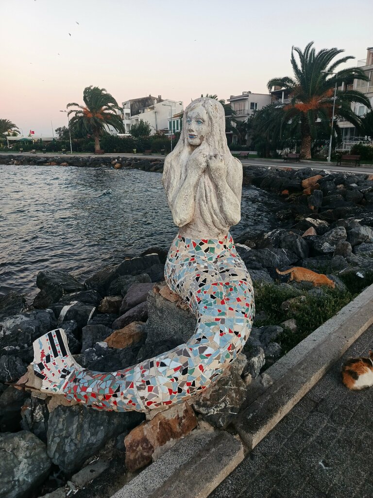 Plaj Prenses Plajı, Dünya, foto