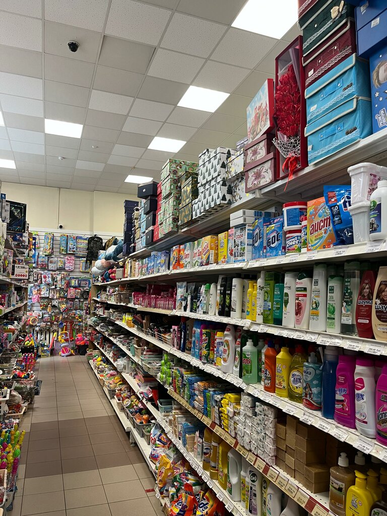 Ev temizlik ürünleri Vse V dom, Nijni Novgorod, foto