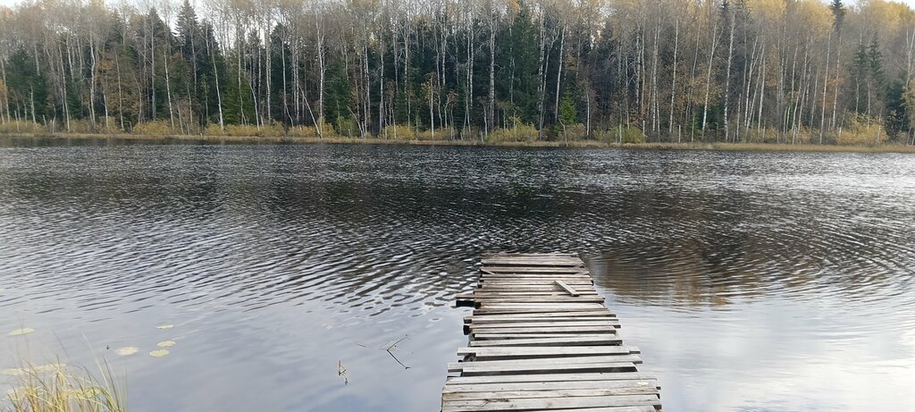 i̇skele Jetty , Saint‑Petersburg ve Leningradskaya oblastı, foto