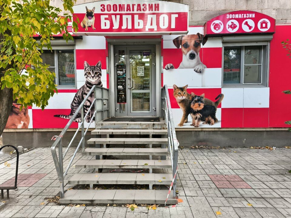 Petshop Buldog, Volgograd, foto