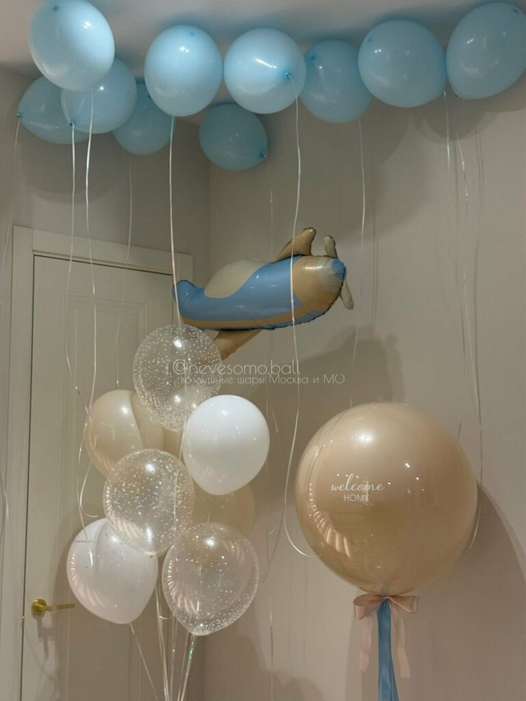 Kutlama ürünleri Nevesomo, Moskova ve Moskovskaya oblastı, foto