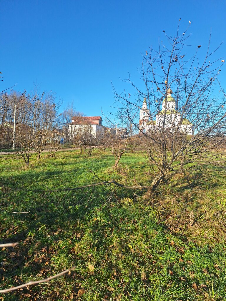Kültür ve eğlence parkları яблоневый сад в честь 65-летия Победы, Suzdal, foto