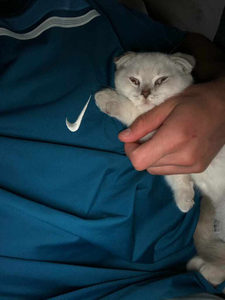 Kafe Каприз, Dağıstan, foto