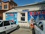 Ice Cream Sales Point (Saıram kóshesi No:78), dondurmacılar  Çimkent'ten (Şımkent'ten)