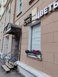 Elmix Coffee (Krasnoproletarskaya Street No:8с1), al götür kahve  Moskova'dan
