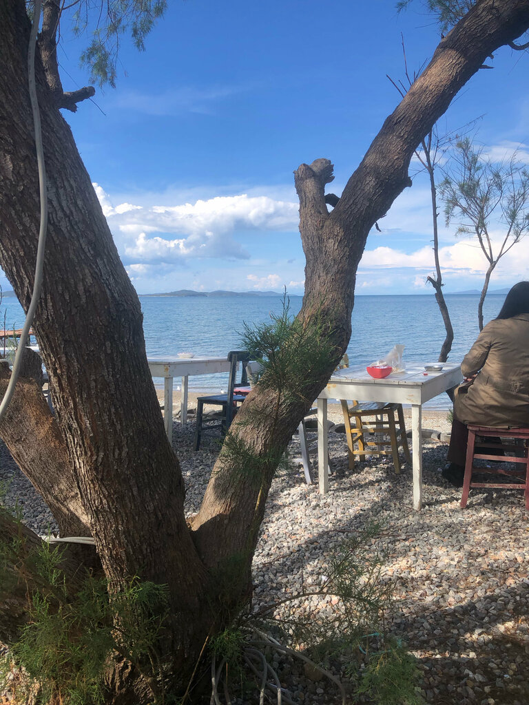 Restoran Urit Zeytinalanı Kafe, Urla, foto