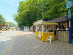 Тайское мороженое (Stavropol, park Pobedy), dondurmacılar  Stavropol'dan
