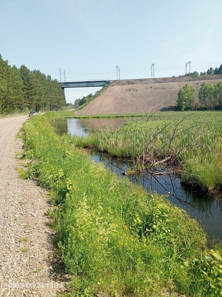 Plaj Пляж, Krasnoyarski krayı, foto