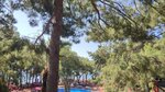 Palace Beach Club (Muğla, Marmaris, İçmeler Atatürk Cad., 62), otel  Marmaris'ten